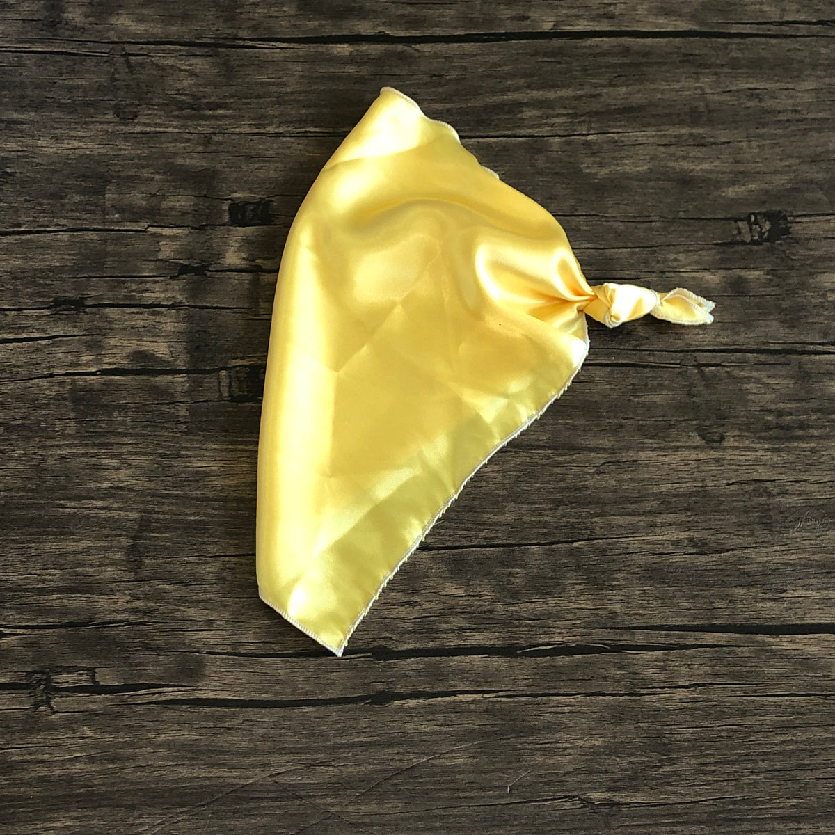 The Townsend “Yellow” Dog Rag – MT Wild Rags