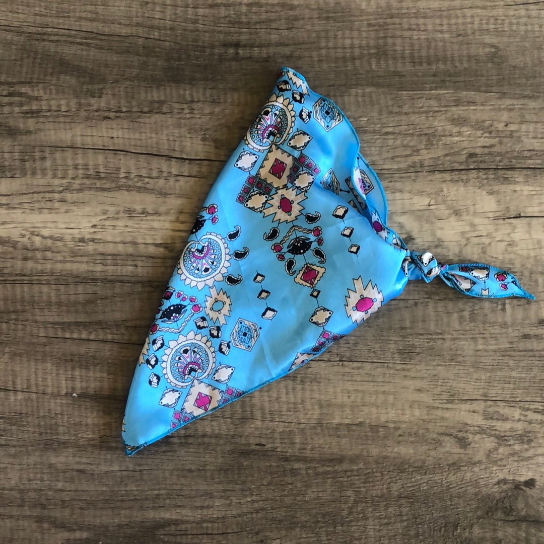 Blue Aztec Dog Rag – MT Wild Rags